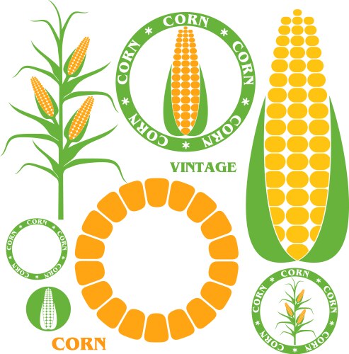 Corn Vector Images (over 100,000)