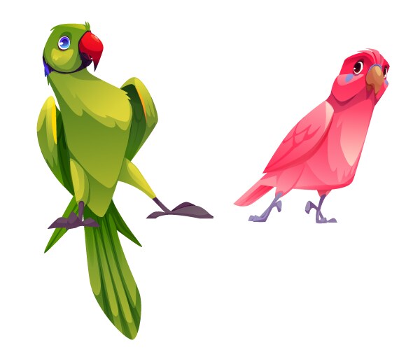 Parrot Vector Images (over 33,000)