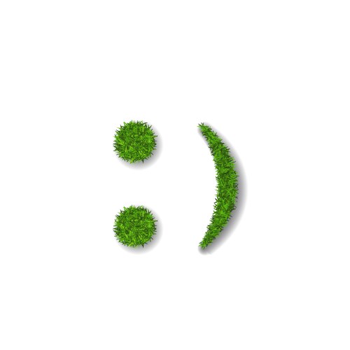 Green grass face smile smiley grassy icon Vector Image