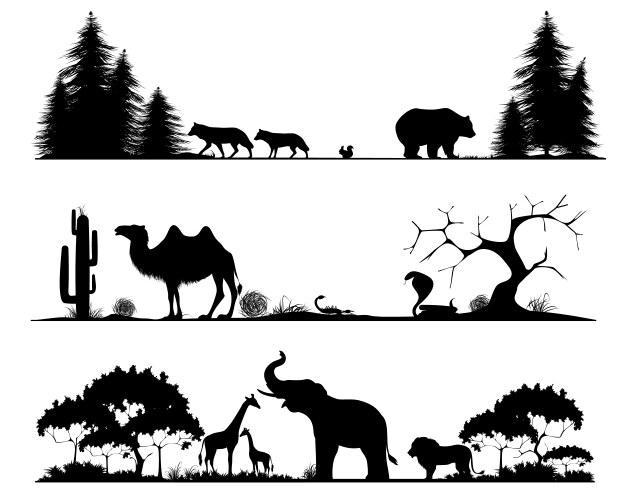 Taiga biome boreal snow forest terrestrial Vector Image