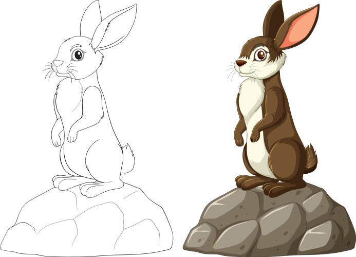 Rabbit Side View Vector Images (over 240)