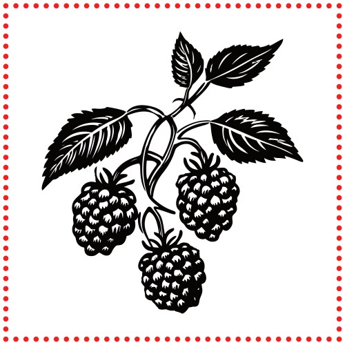 Raspberry Silhouette Vector Images (over 1,600)