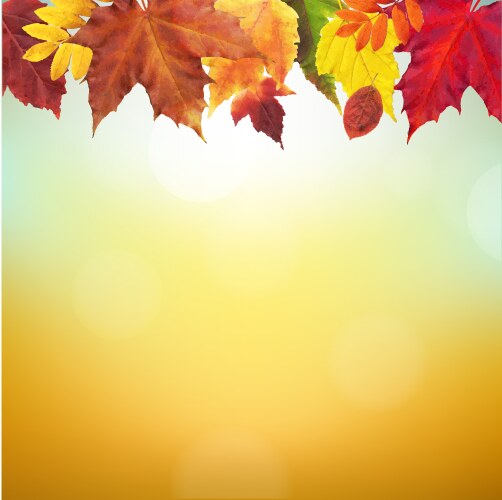 Brown Border Vector Images (over 34,000)