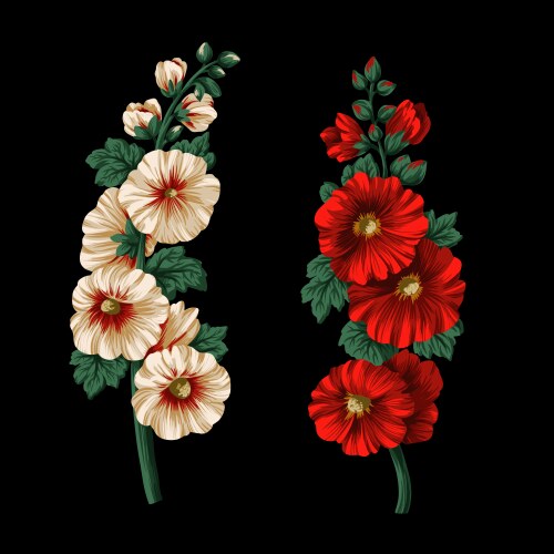 Border with mallows Royalty Free Vector Image - VectorStock