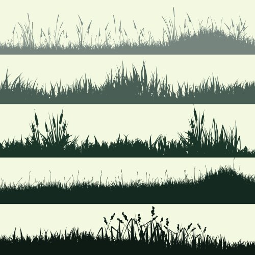 Grass silhouettes Royalty Free Vector Image - VectorStock