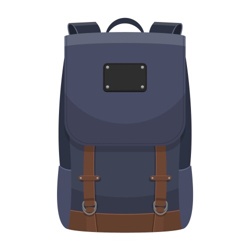 Brown backpack front view travel bag Royalty Free Vector