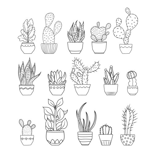 Succulent Outline Vector Images (over 9,900)