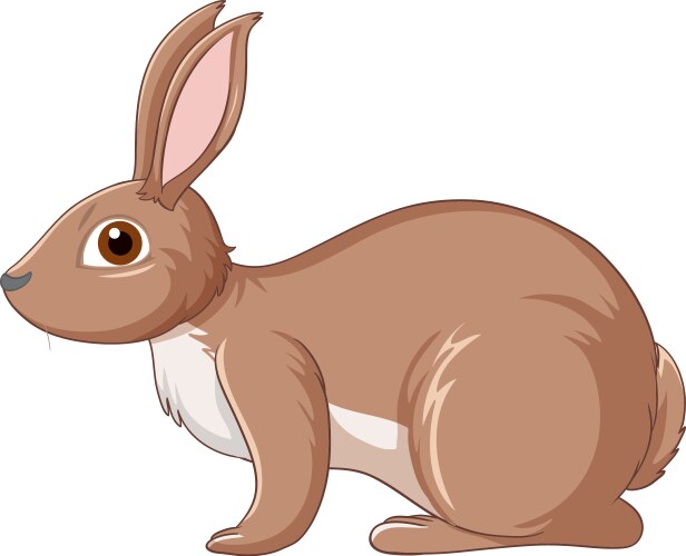 Cute rabbit cartoon Royalty Free Vector Image - VectorStock