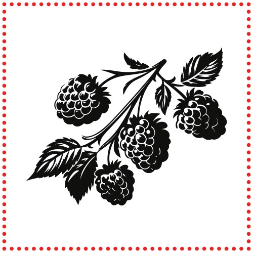 Raspberry Silhouette Vector Images (over 1,600)