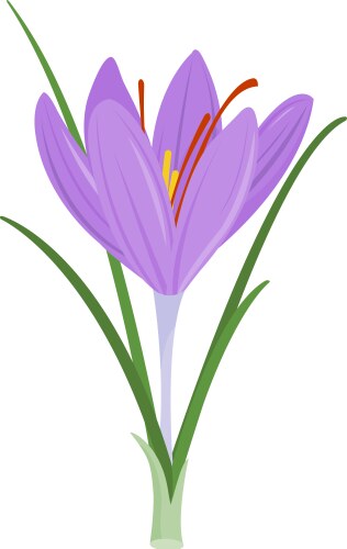 Saffron Vector Images (over 8,300)