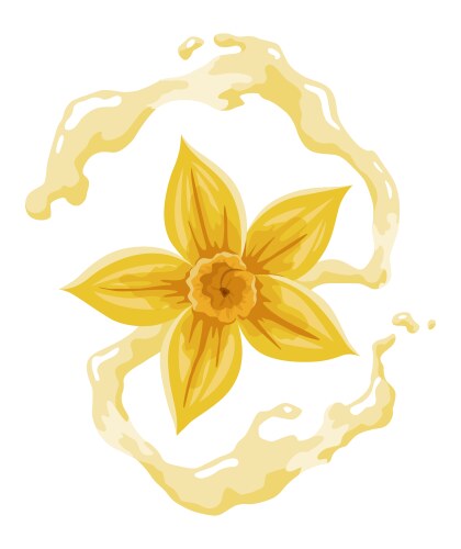 Vanilla Flower Realistic Vector Images (over 220)