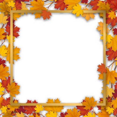 Maple frame Royalty Free Vector Image - VectorStock