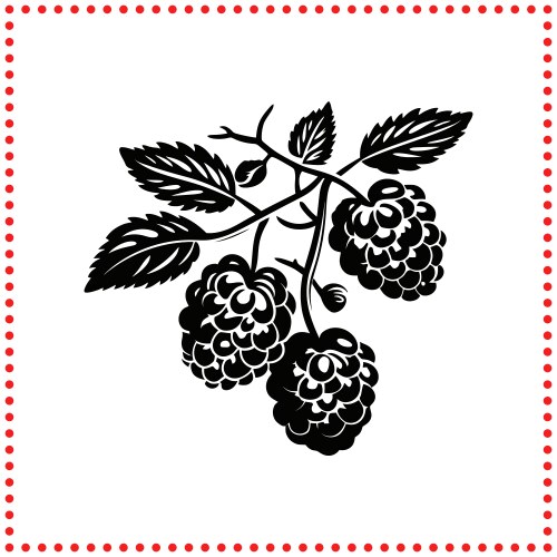 Raspberry fields forever silhouette for art Vector Image