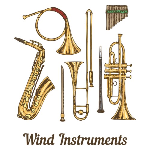 Cartoon trumpet musical instrument character Vector Image