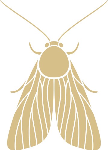 White luna moth drawing Royalty Free Vector Image