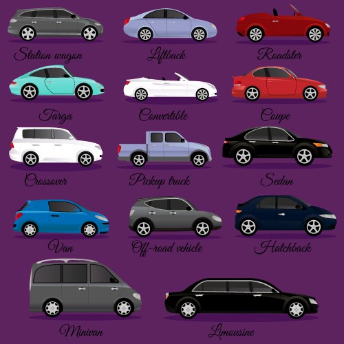 Car or automobile body type names flat Royalty Free Vector