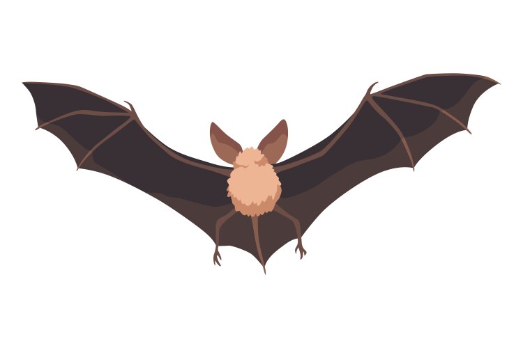Bat concept cartoon clipart Royalty Free Vector Image