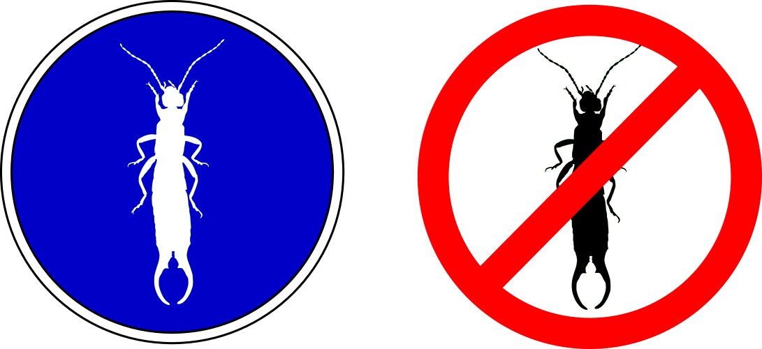 Earwig Silhouette Vector Images (77)