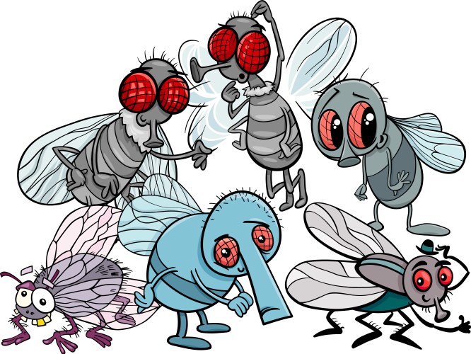 Animals Royalty Free Vector Image - VectorStock