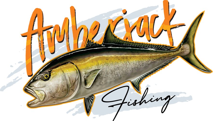 Amberjack Vector Images (55)