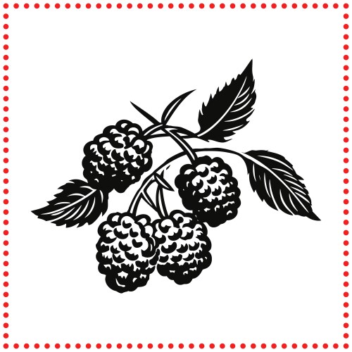 Raspberry Silhouette Vector Images (over 1,600)