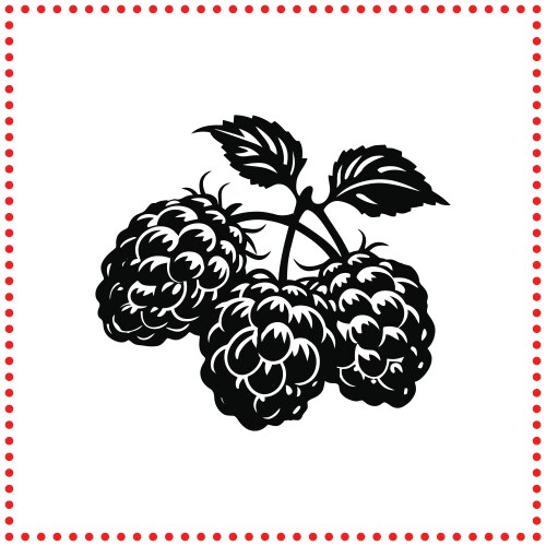 Raspberry Silhouette Vector Images (over 1,600)