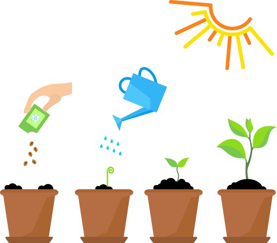 Planting tree process Royalty Free Vector Image