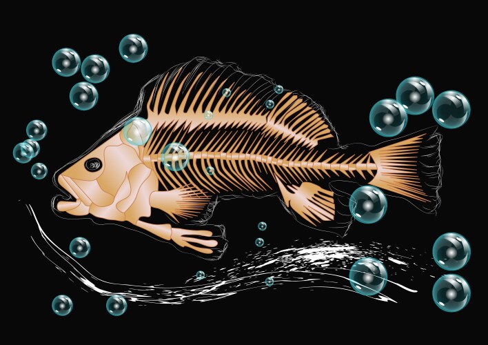 Fish Skeleton Vector Images (over 8,000)