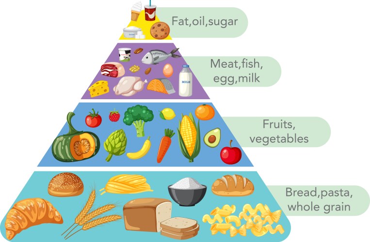 A food pyramid with various food groups Royalty Free Vector