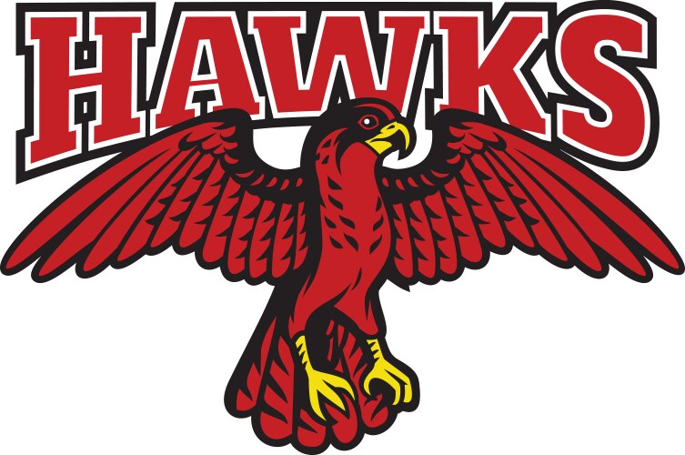 Hawk mascot Royalty Free Vector Image - VectorStock