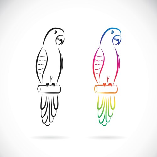 Parrot Bird Outline Vector Images (over 3,300)