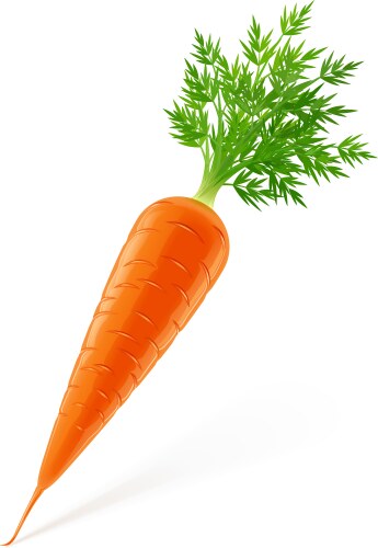 Carrot Vector Images (over 95,000)