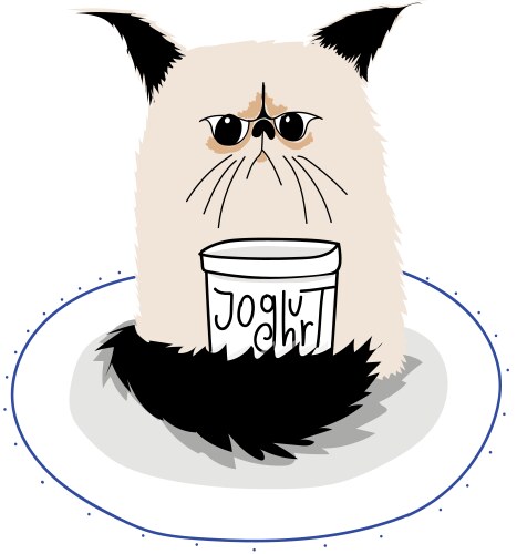 Shy grumpy cat meme isolated white background Vector Image