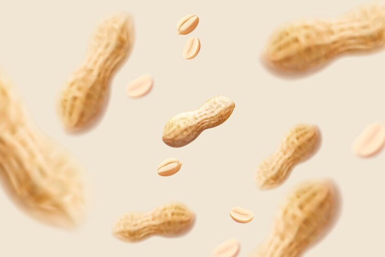 Peanuts in Shell Vector Images (over 2,800)
