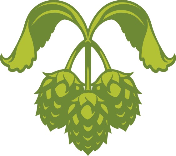 Hops Royalty Free Vector Image - VectorStock