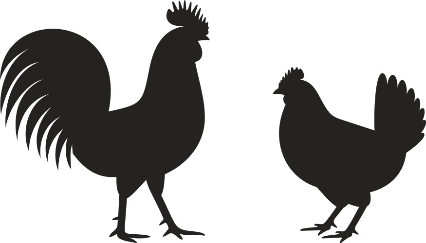 Poultry Vector Images (over 57,000)