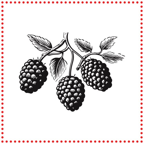 Raspberry Silhouette Vector Images (over 1,600)