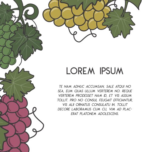 Red grape Royalty Free Vector Image - VectorStock