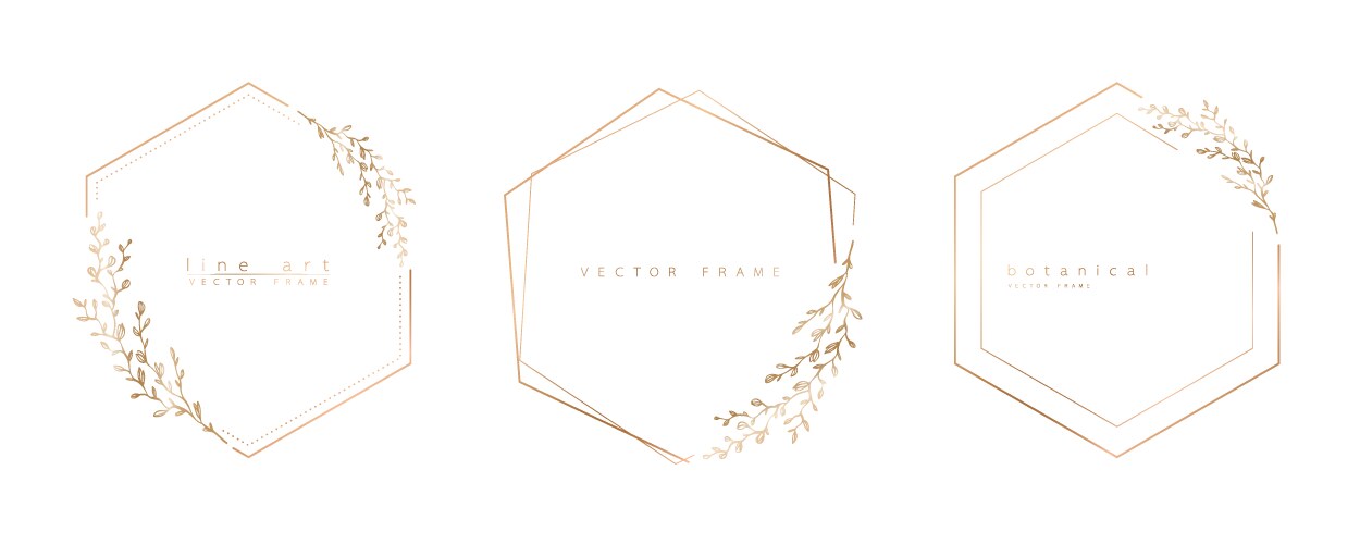 Set of hexagon frame templates in minimal linear Vector Image