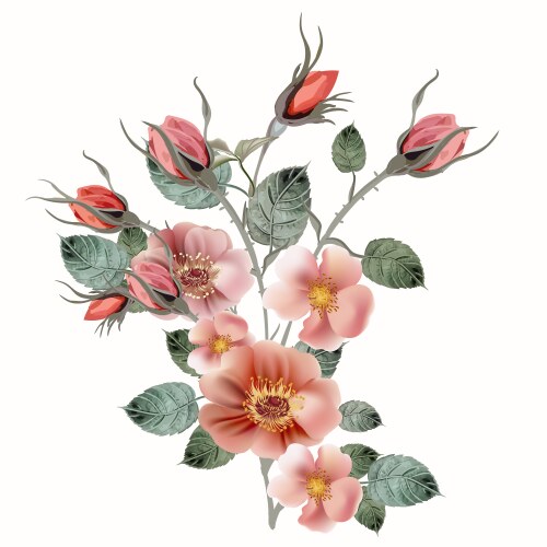 Watercolor chinese rose pattern Royalty Free Vector Image