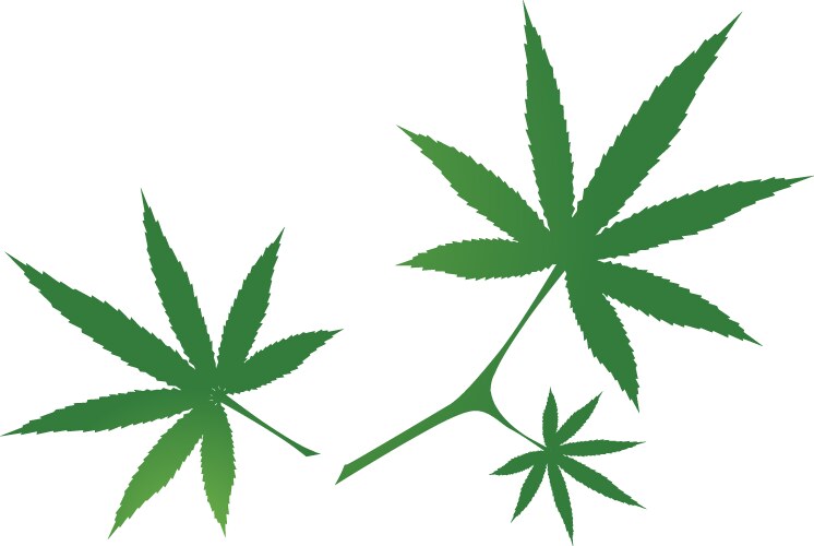 Cannabis Leaf Pattern – Royalty-Free Vector | VectorStock