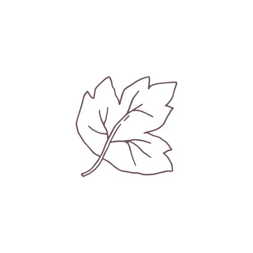 Maple Leaf Drawing Vector Images (over 13,000)