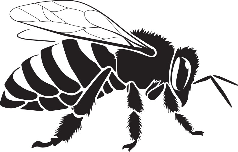 Bee Black and White Vector Images (over 46,000)