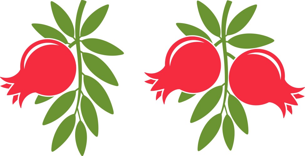 Pomegranate half cross-section cut piece Vector Image