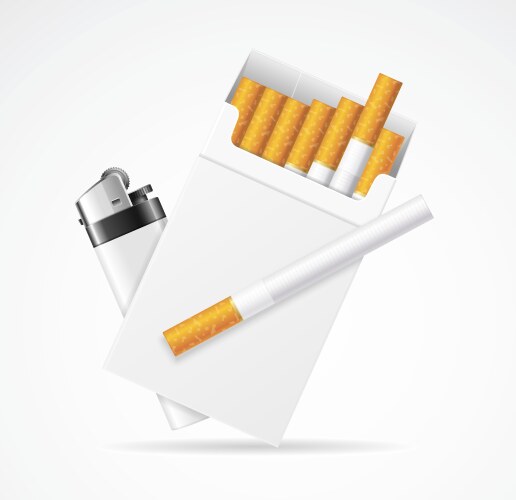 Realistic template blank white cigarette pack Vector Image