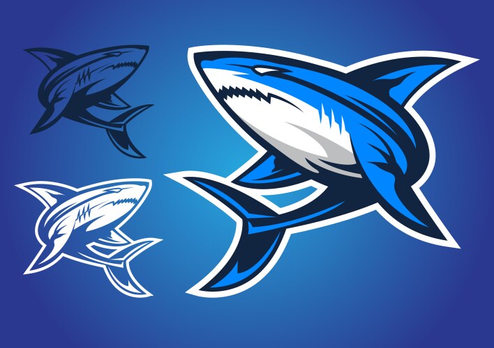 Marine logo with shark Royalty Free Vector Image