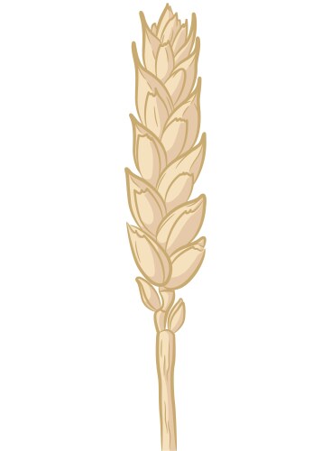 Rice Straw Vector Images (over 1,500)