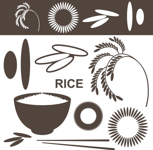 Rice Royalty Free Vector Image - VectorStock