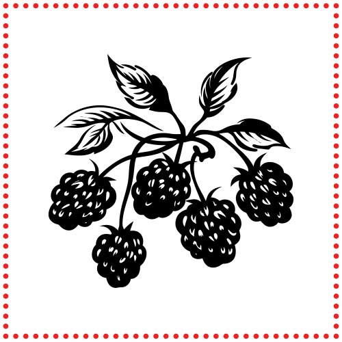 Raspberry Silhouette Vector Images (over 1,600)