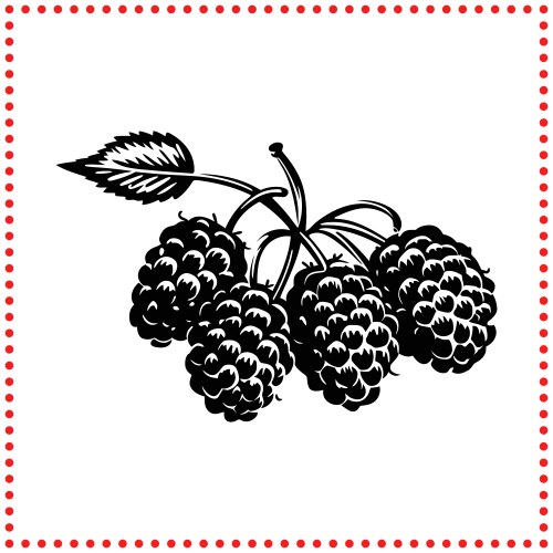 Raspberry Silhouette Vector Images (over 1,600)